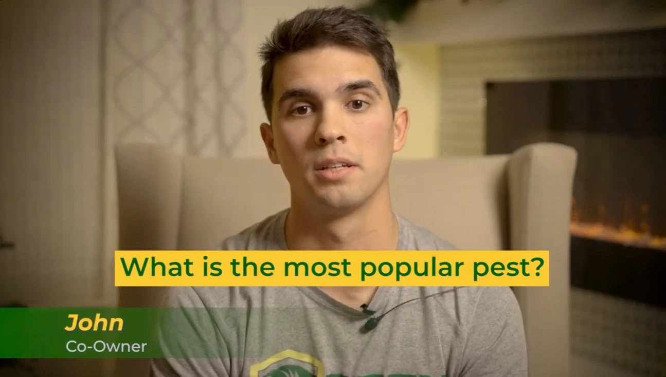 What Is The Most Popular Pest - T-Rex Pest Control